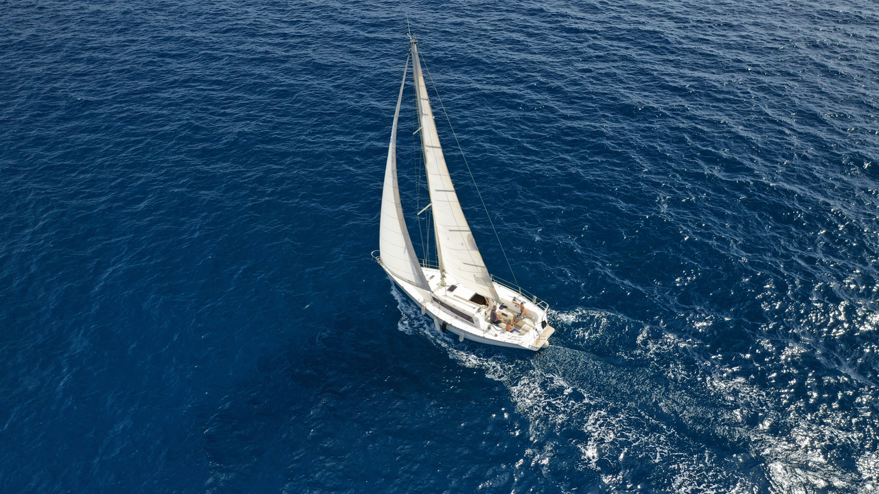 "Il y a eu une tempête" : où est passée Marie Descoubes, navigatrice ...