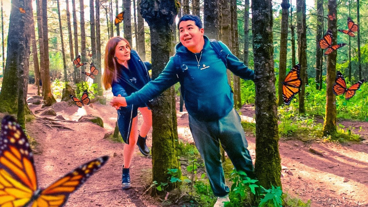 El santuario de la mariposa monarca más grande de México 🇲🇽