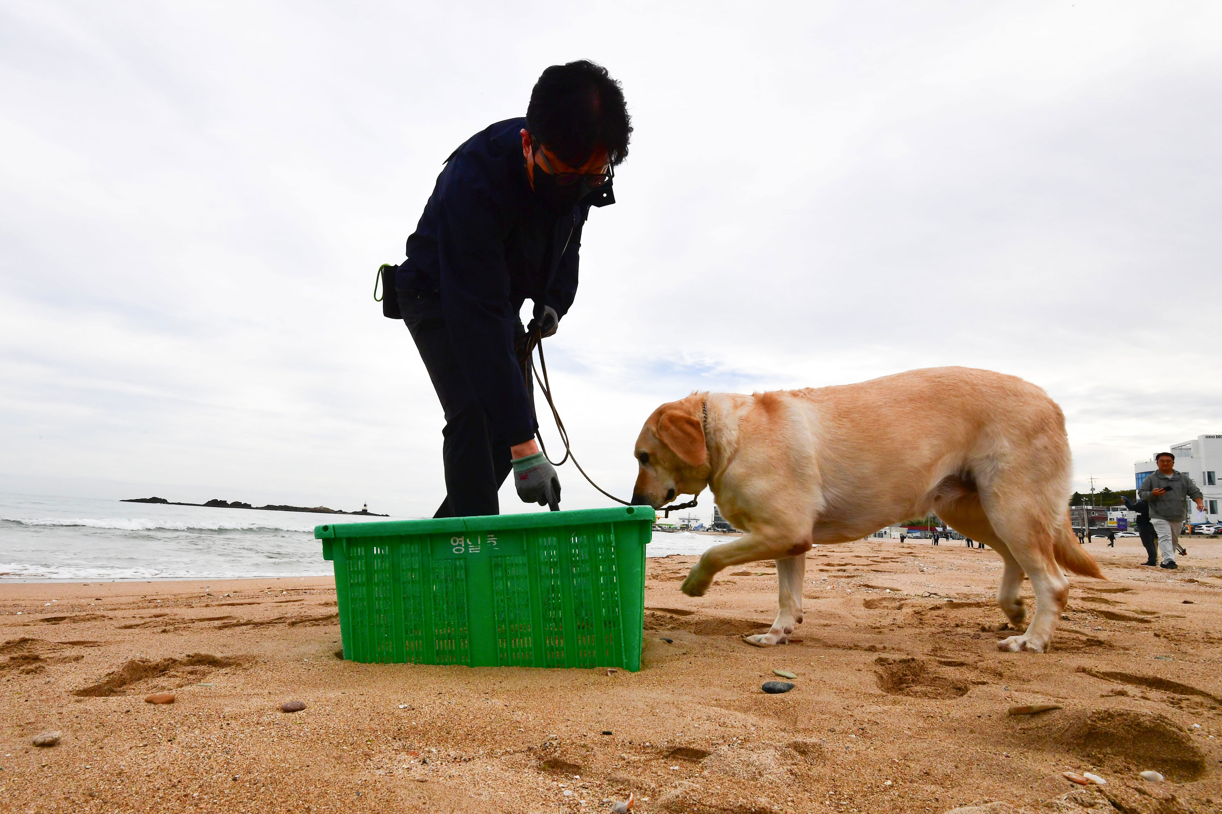 Pohang Coast Guard, Military, Police Conduct Joint Narcotics Search