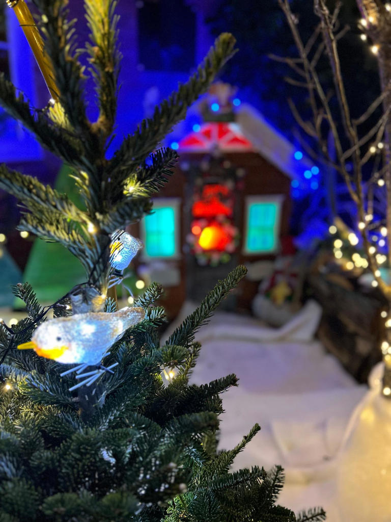 New features for Light Post Farm festive trail