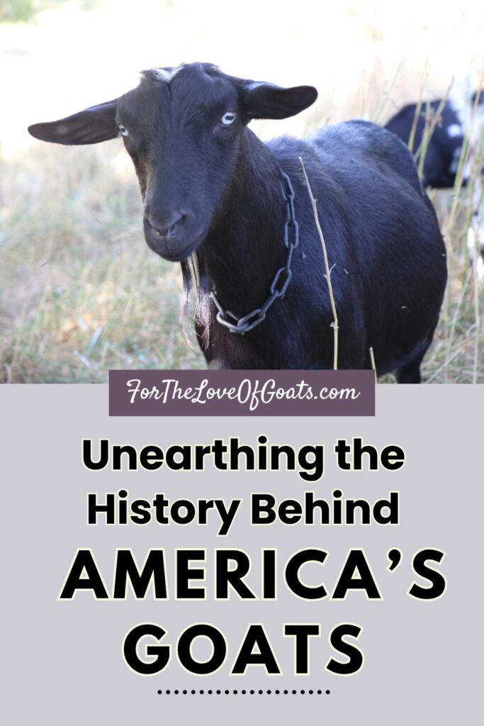 Goats in America: A Cultural History with Author Tami Parr