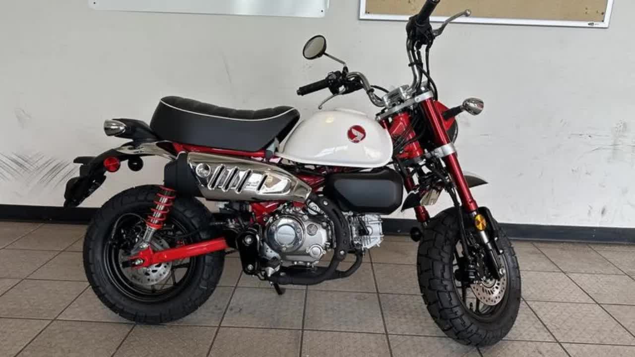 2025 Honda Monkey 125 – das 9,4 PS Kultbike jetzt in neuen Farben