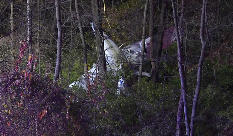 Small plane crash-lands into trees in Chesterfield