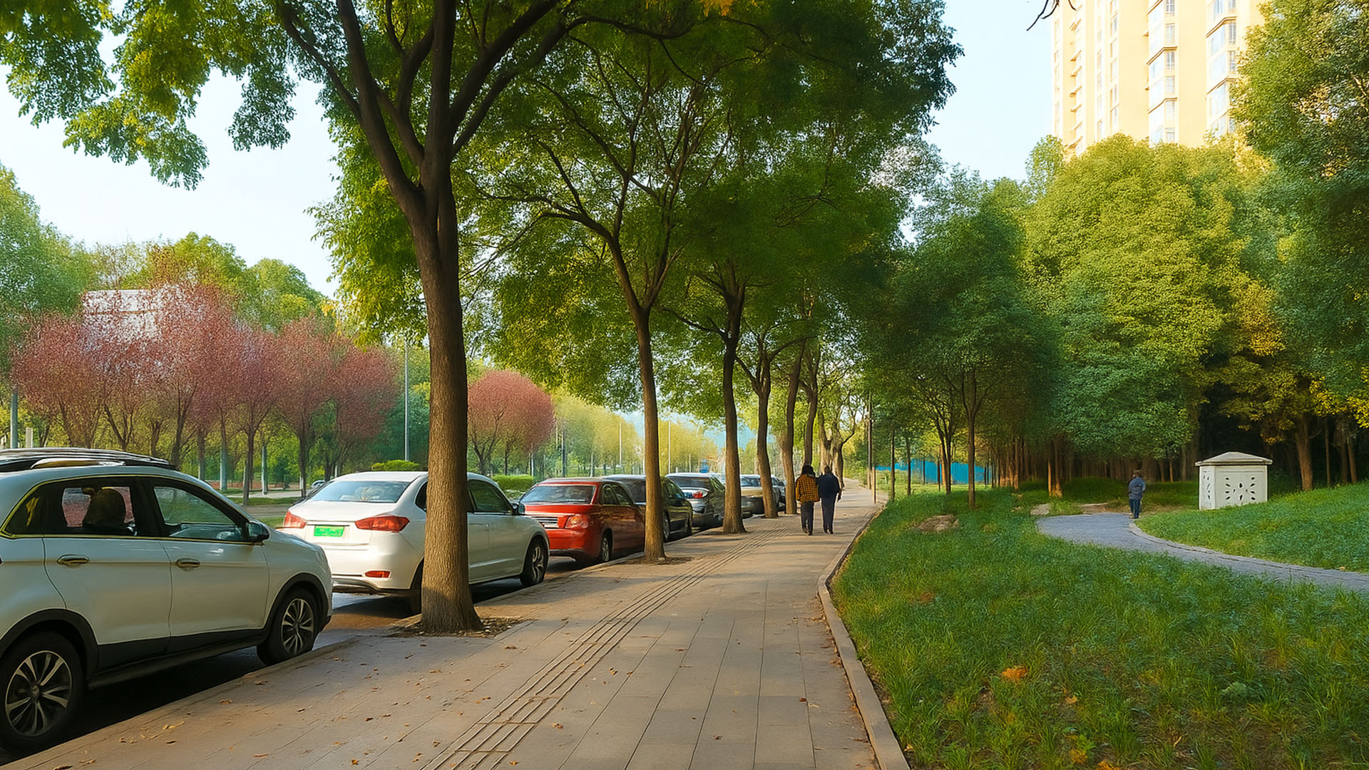 Relaxing Walk Under Autumn Trees in China