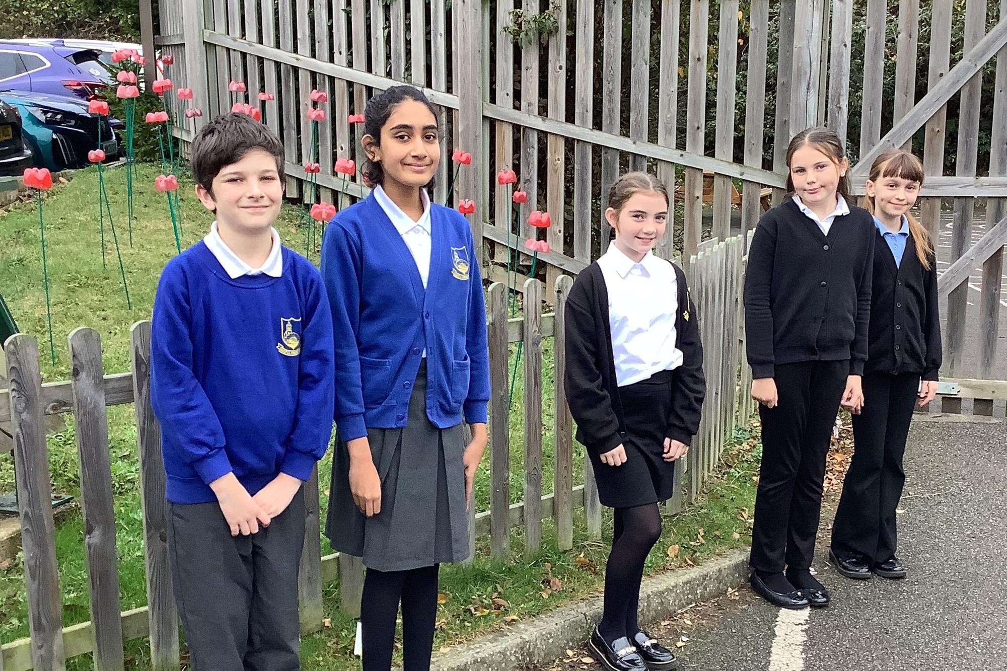 Farcet pupils create poignant poppy displays for Remembrance Day in ...