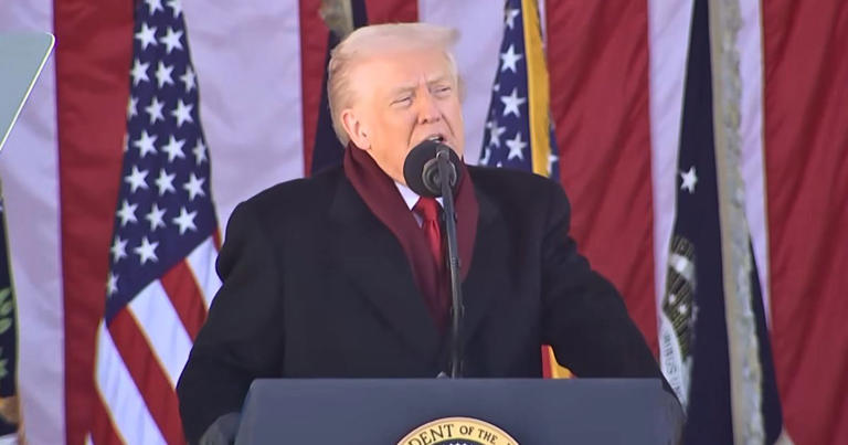Donald Trump’s Veterans Day Address Takes Wild MAGA Detour—And Viewers ...