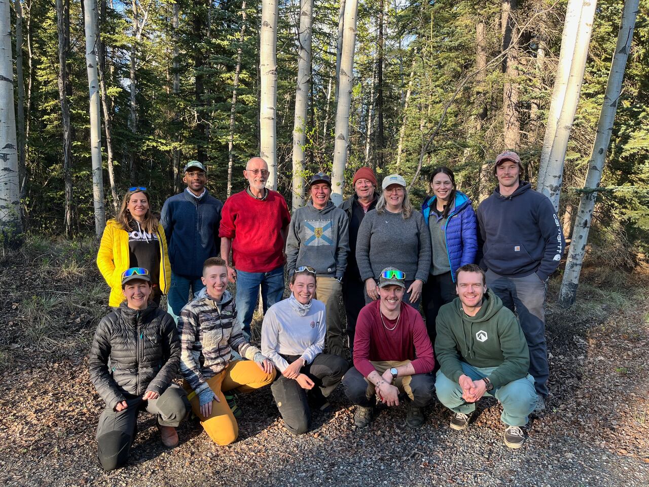 Aggressive' tree disease discovered in N.W.T. aspens