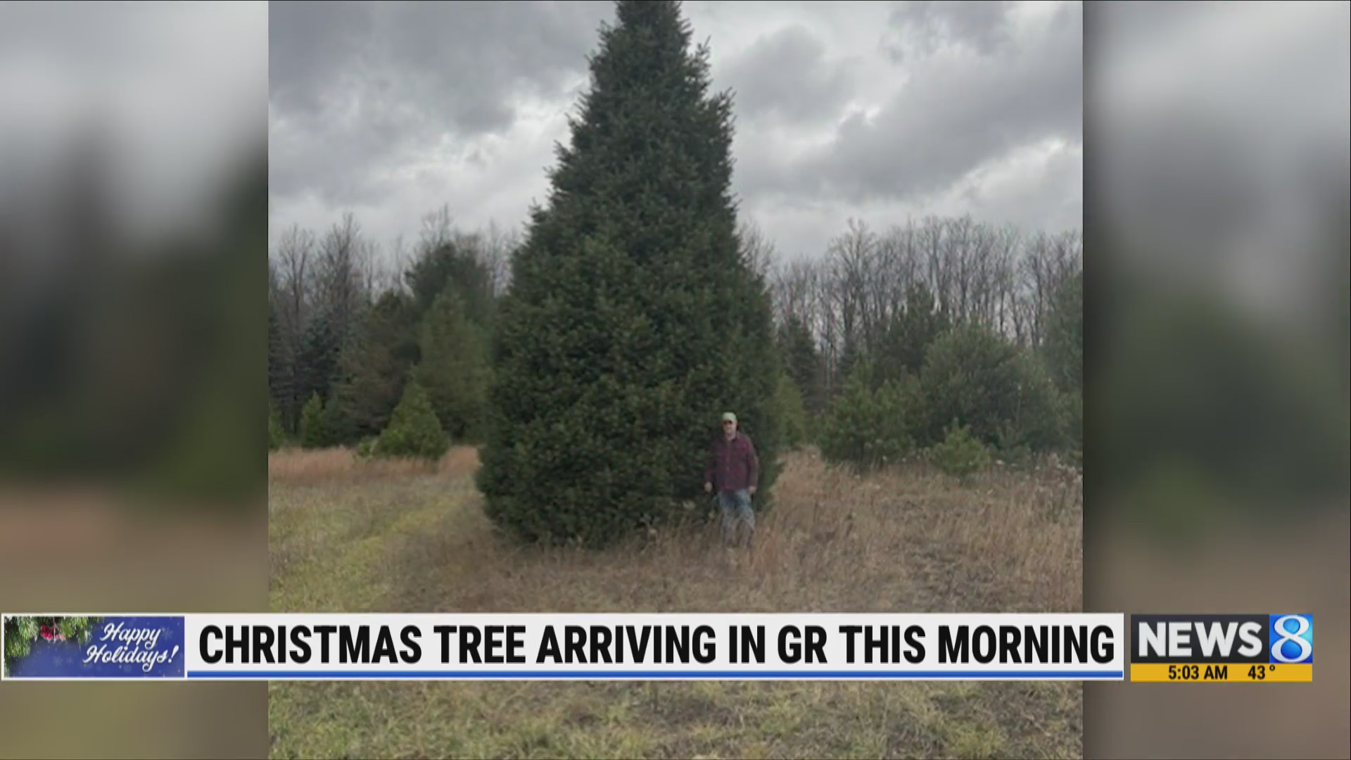Christmas tree arriving in Grand Rapids