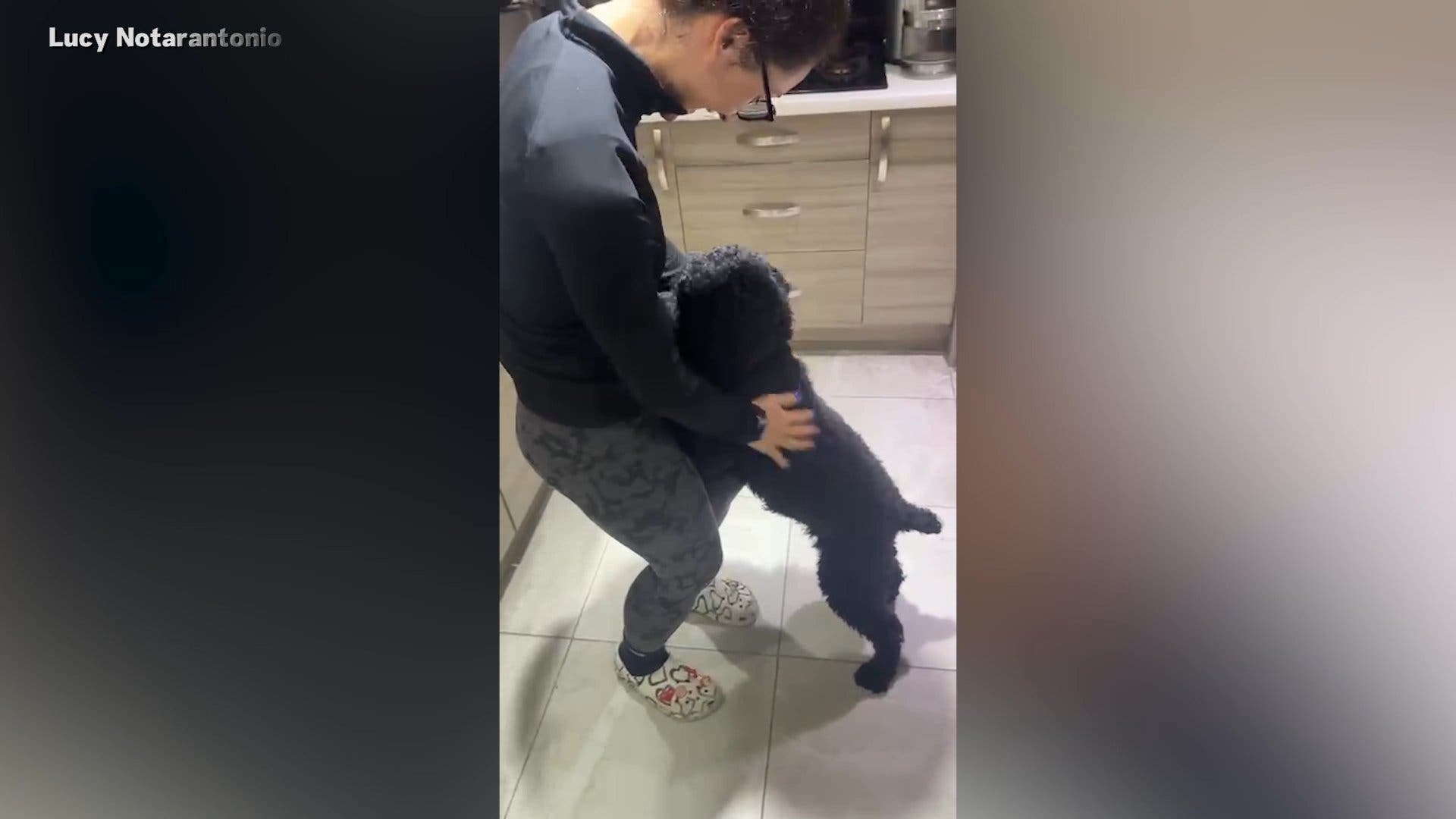 I Adopted a Street Dog—and Our First Week Together Wasn’t What I Expected
