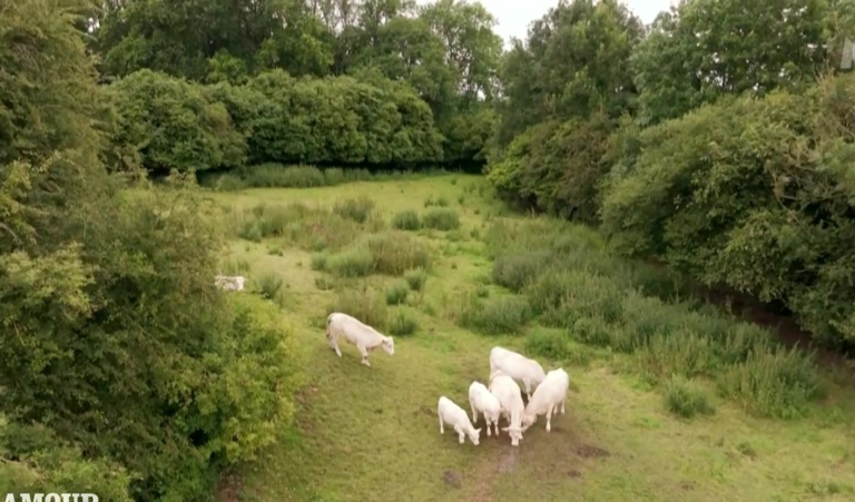 L'amour est dans le pré : "Elle voulait même me mettre une gifle ...