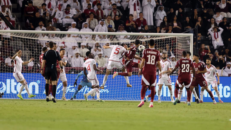 UAE coach Cosmin Olaroiu and his staff dismissed