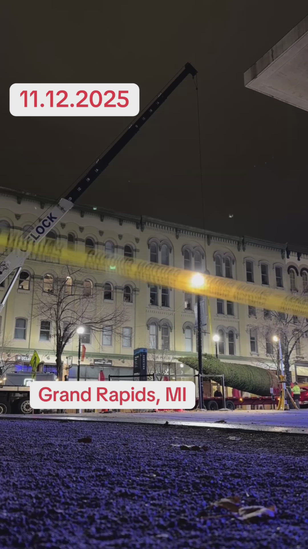 Grand Rapids Christmas tree delivery