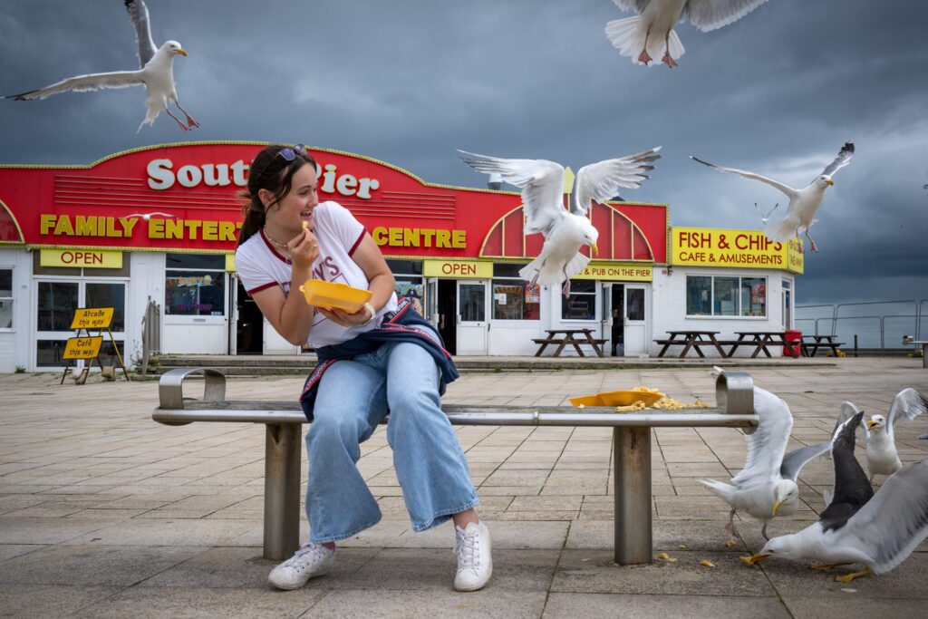 Shouting at seagulls makes them more likely to leave your food alone ...