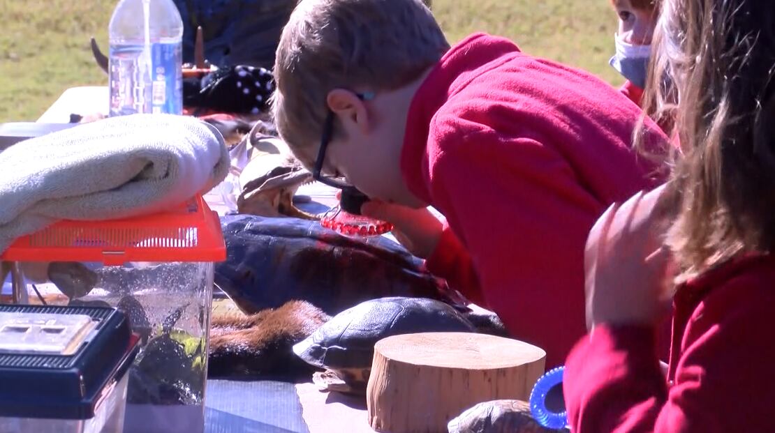 STEAMfest exposes elementary students to arts and sciences at ...