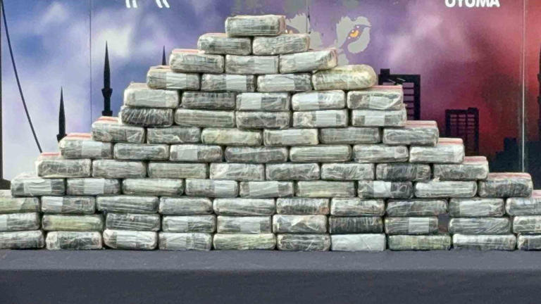 İstanbul’da narkotik operasyonu: 494 kilogram uyuşturucu madde ele ...