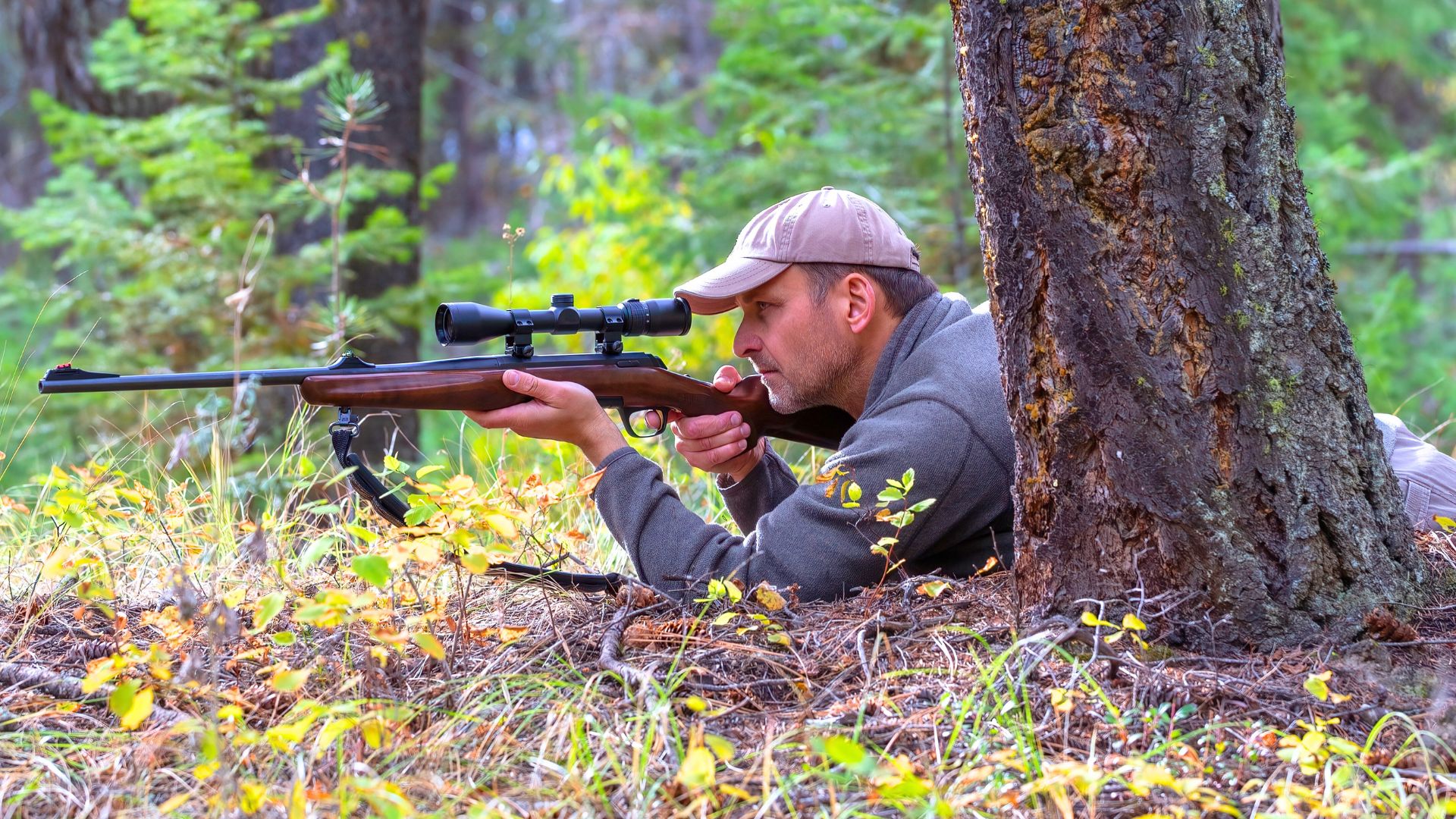 Calibers That Deliver on Paper but Quit in Real Hunt Conditions