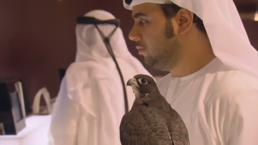 This is Bondi Vet’s most heartwarming international missions