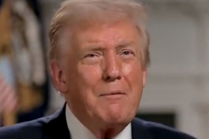 Fox News fans fume Donald Trump is 'the least intelligent person to ...