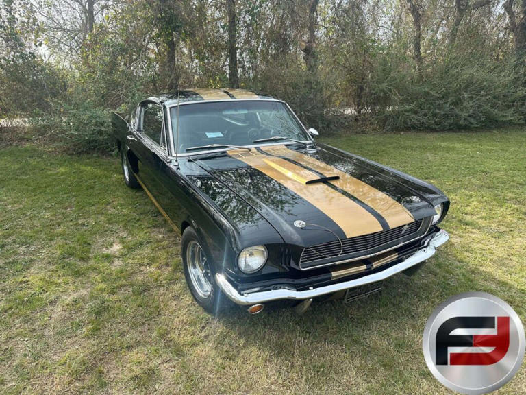 Rare 1966 Shelby GT350H Set to Cross the Block at The Dallas Classic