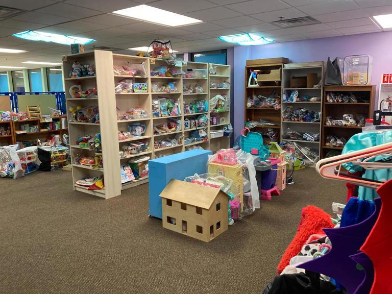 Minnesota Toy Library