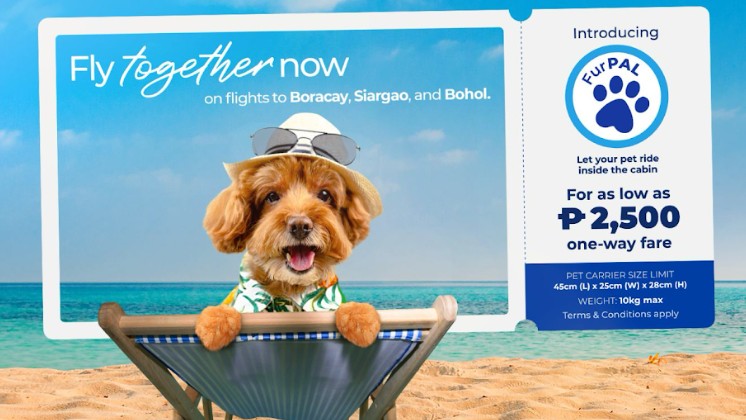 PAL to allow small dogs to fly with fur parents to Boracay, Bohol, Siargao