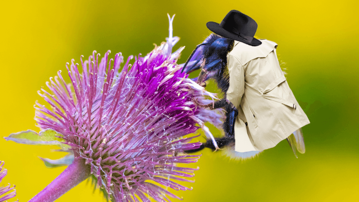 First-Of-Its-Kind Evidence Shows Bees Can Learn "Morse Code" – Well, Kinda