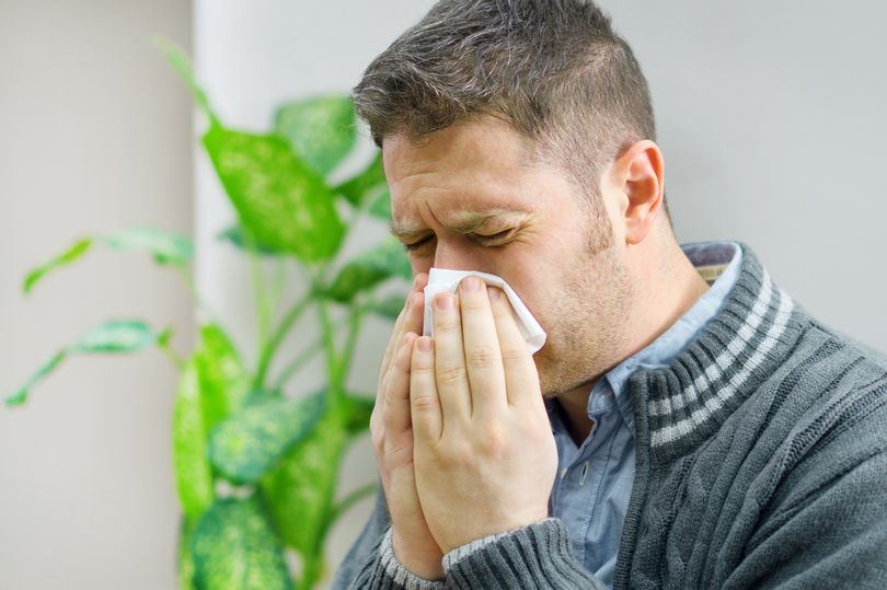 'Deadly' H3N2 flu strain to sweep UK with predictions for worst flu ...