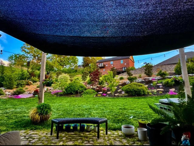 Gardener shares remarkable before-and-after photos of backyard ...