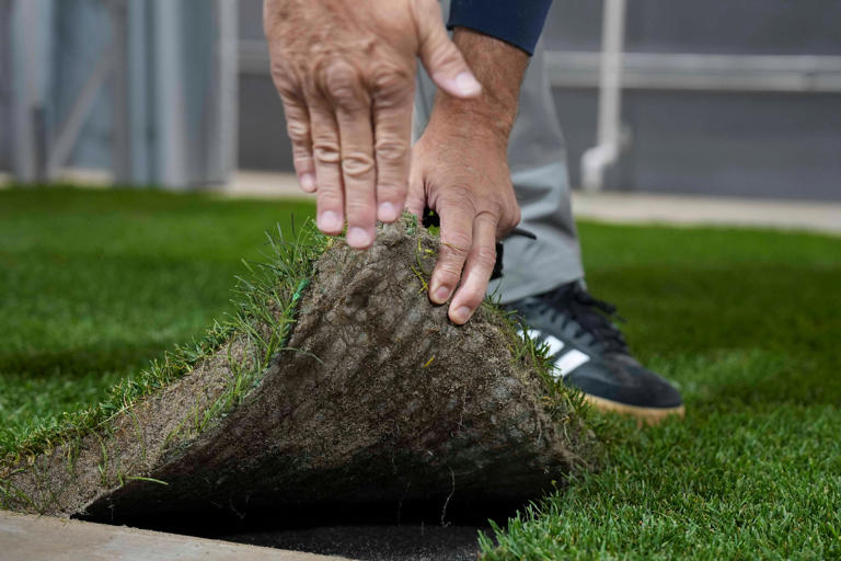 See the cutting-edge FIFA World Cup turf research happening at ...