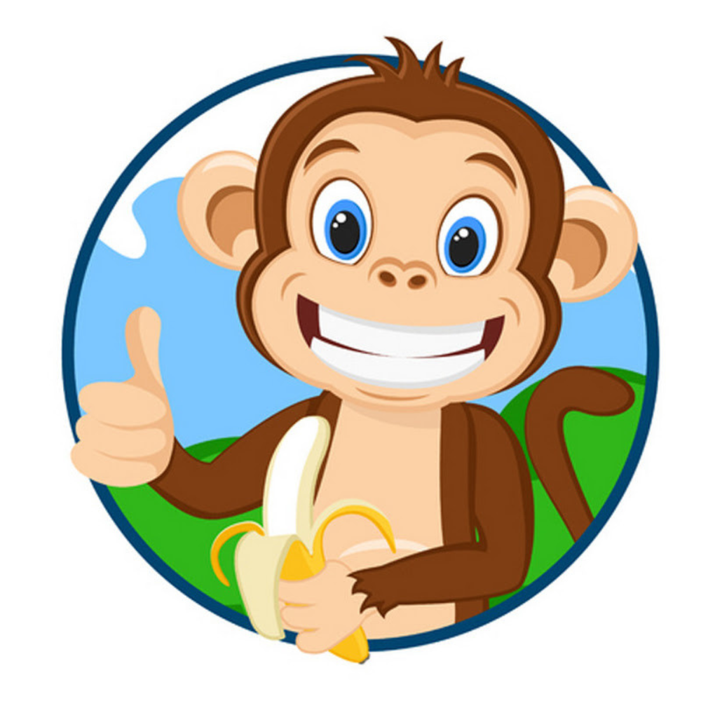 Cheeky Monkey Makes a Quick Grab