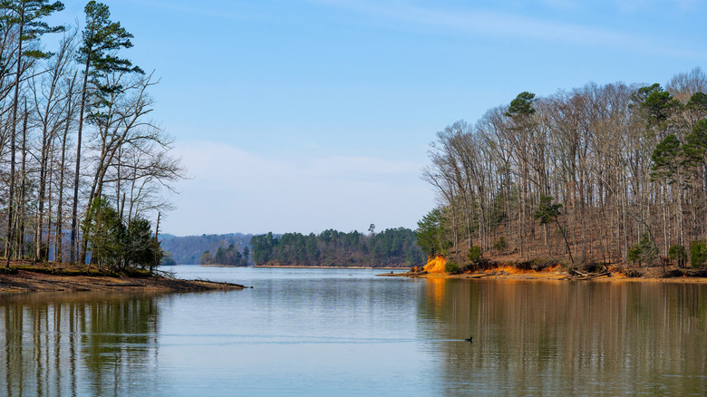 Tennessee's Snake-Shaped Lake Near Chattanooga Is A Hotspot For Fishing ...