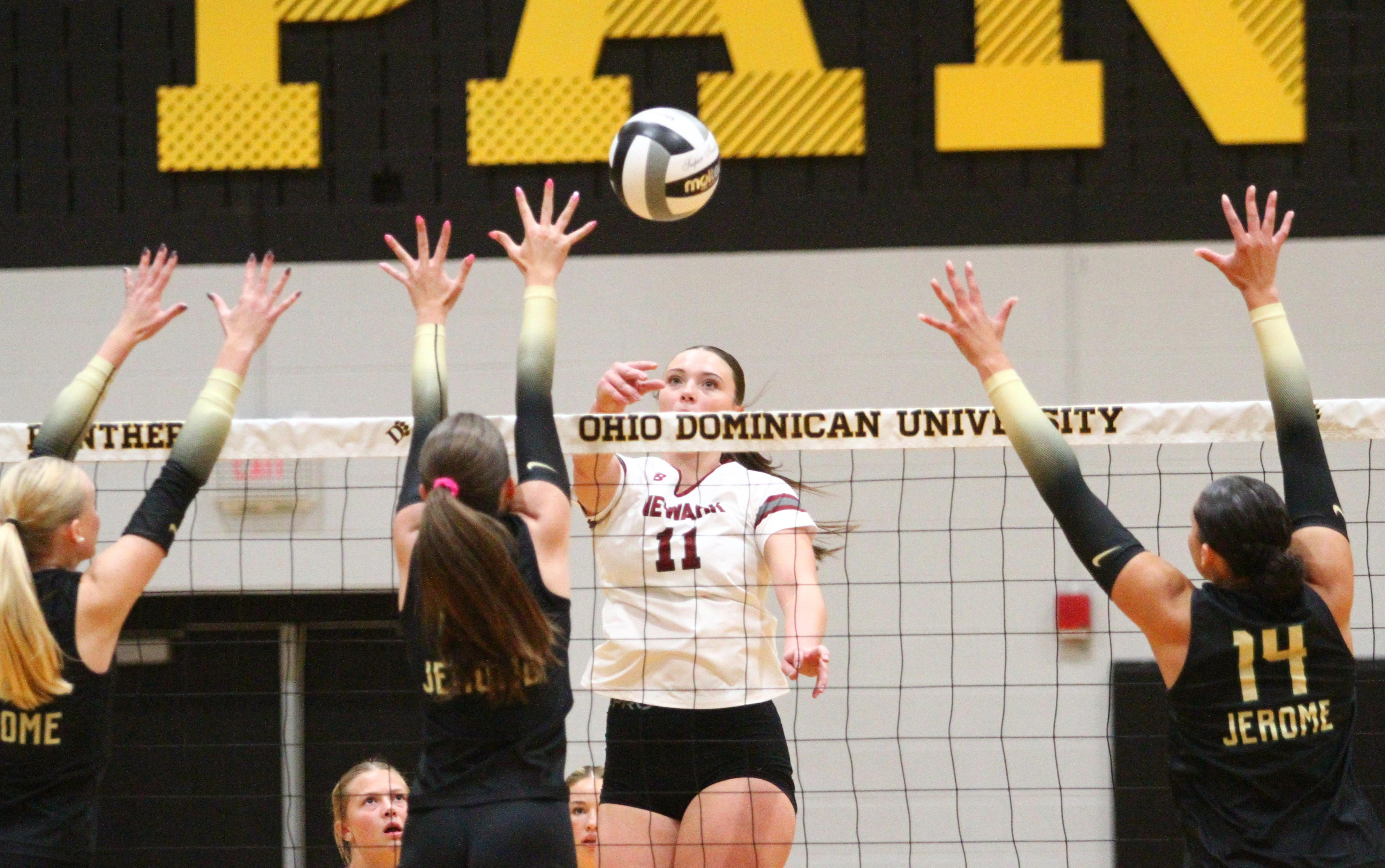 Newark's Meister, Pinney take top OCC-Buckeye volleyball honors