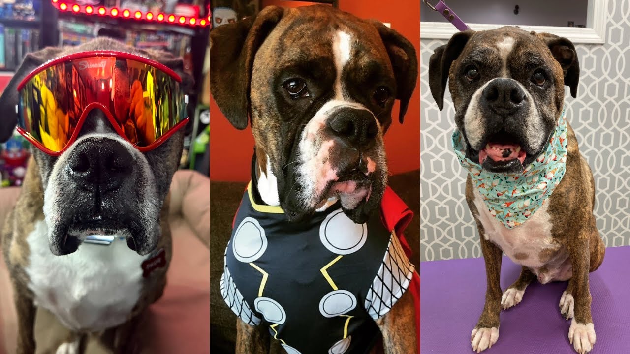Rest In Peace Thor