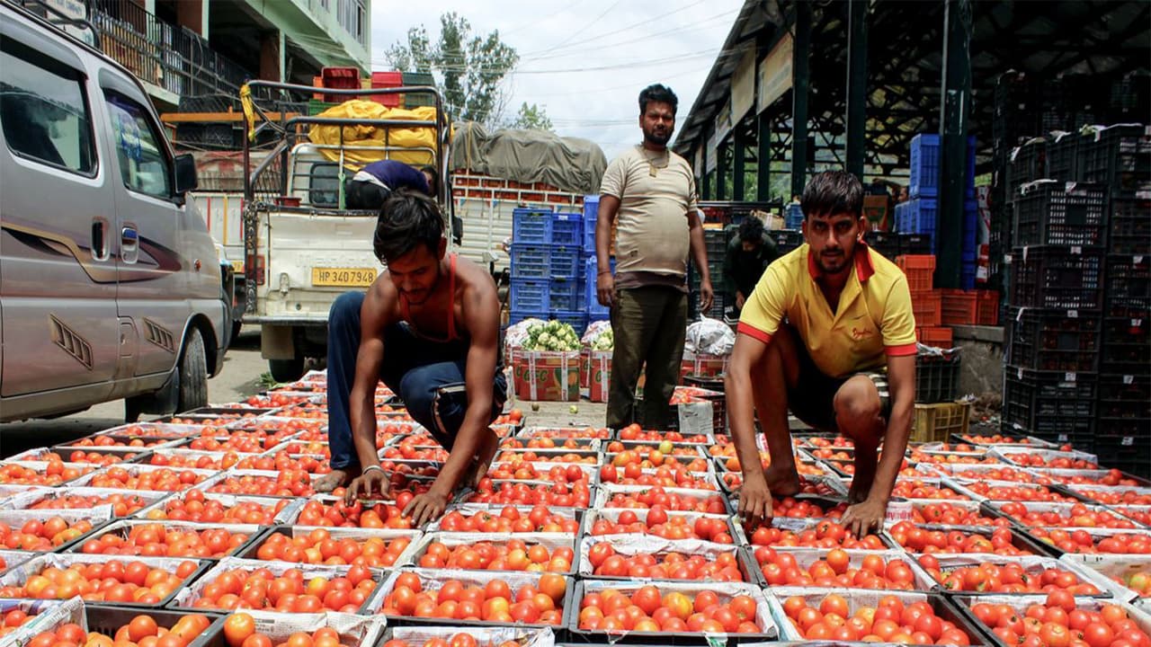 WPI Inflation Likely Turned Negative in Oct on Falling Food Prices: UBI