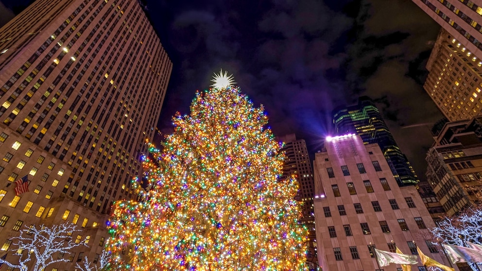 The Most Impressive Christmas Trees in the World
