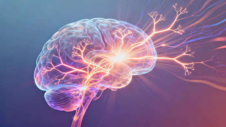 Le placebo qui ne ment pas: l’incroyable pouvoir du cerveau face à la ...