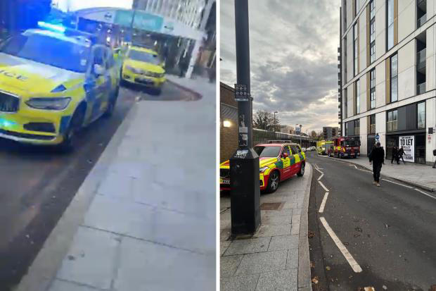 Person fighting for their life after being hit by train in Lewisham