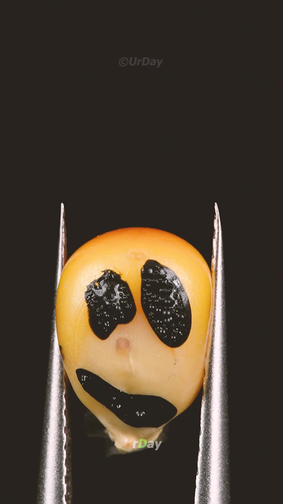 Cooking popcorn close up: single one by one