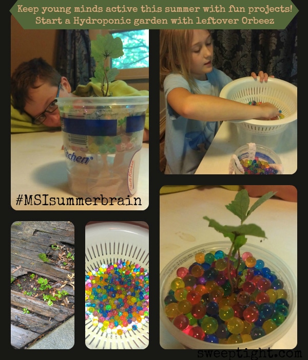 Fun Things for Kids to Prevent Summer Brain Drain