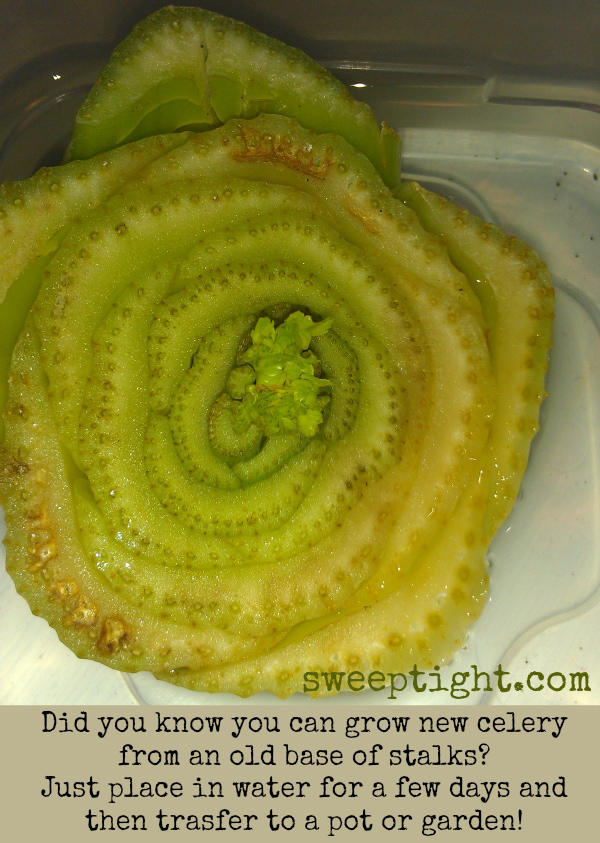 Fun Things for Kids to Prevent Summer Brain Drain