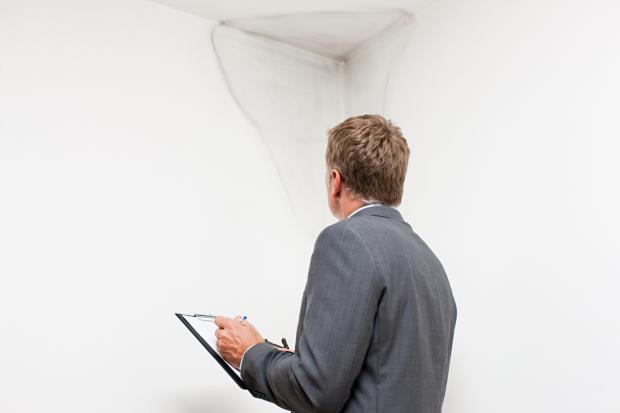 Can you paint over damp? Expert shares how to hide unsightly patches on ...