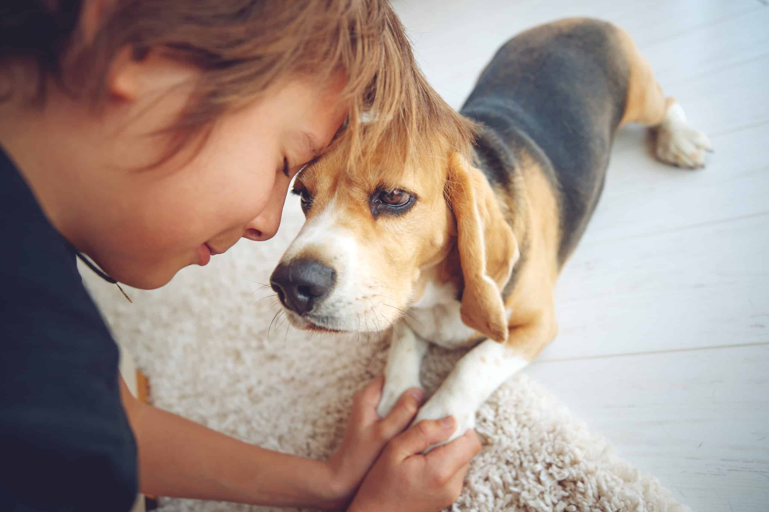 Why adopting a shelter dog might be the best decision you ever make