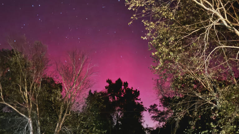 EYE IN THE SKY: Northern Lights seen across ENC skies