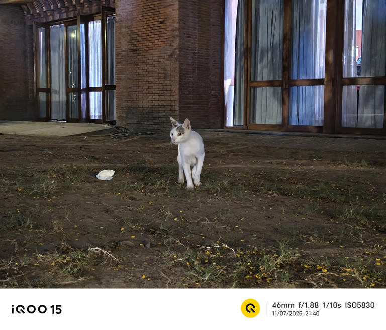 iQOO 15 Camera Hands-On: From Gaming Beast to Photo Pro, iQOO Has Come ...