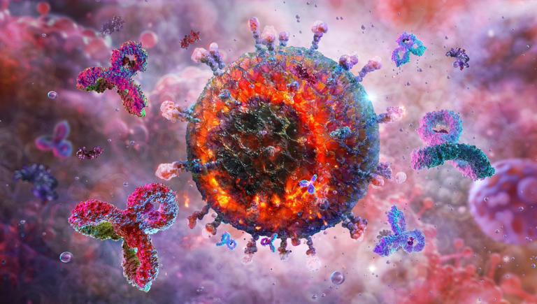 Deciphering PARP14's Role in Viral Pathogenesis