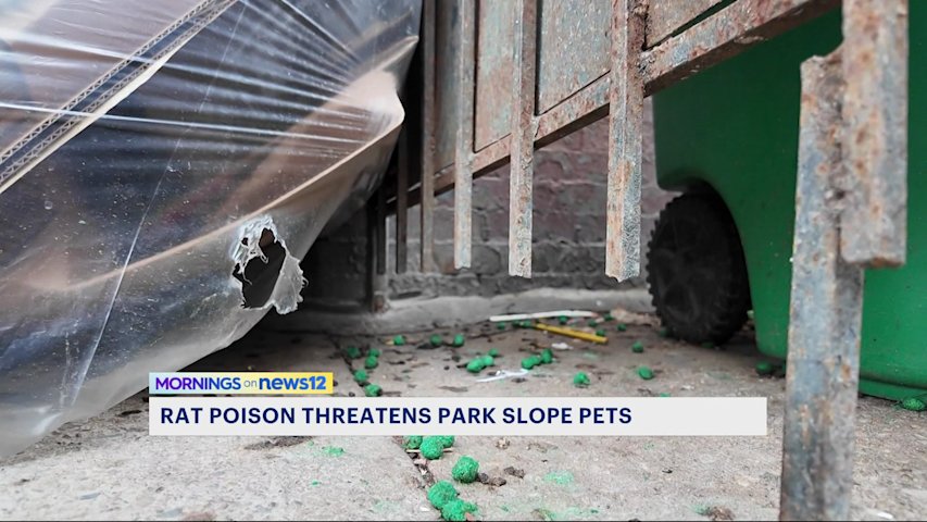 Park Slope pet owners alarmed after rat poison found on sidewalks