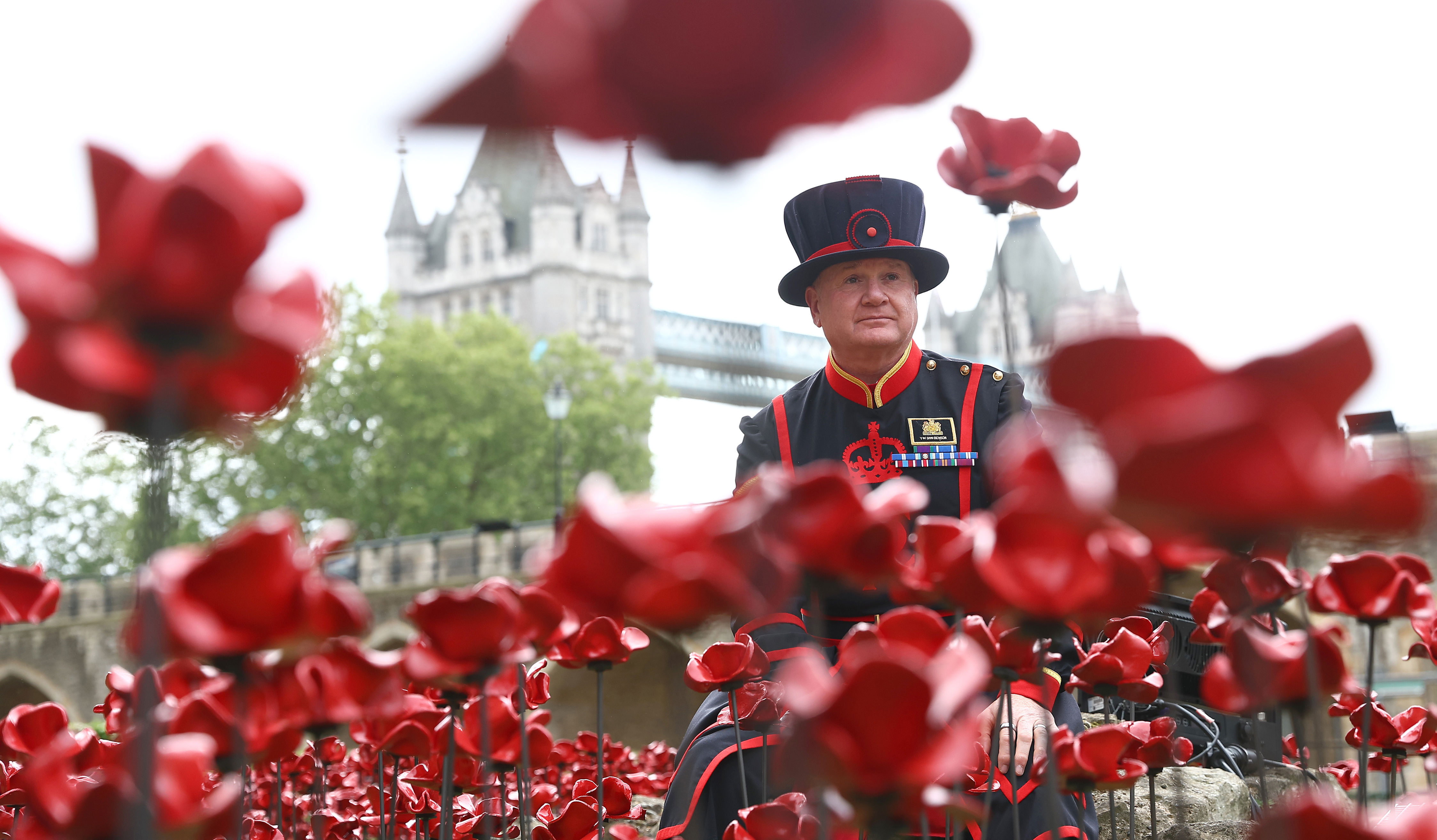 Can I buy a poppy from the Tower of London's 2025 display?