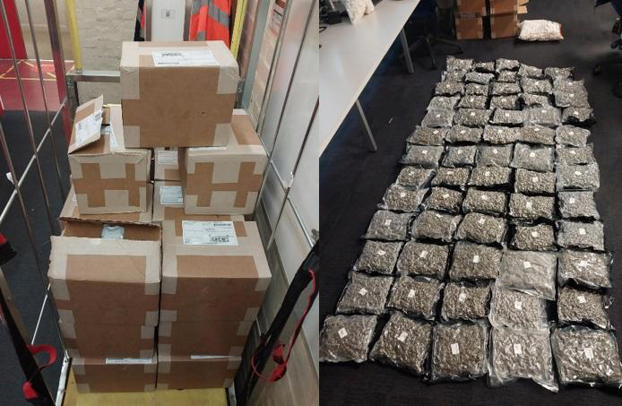 Posties sniff out illicit drugs valued at £315k sent in packages from ...