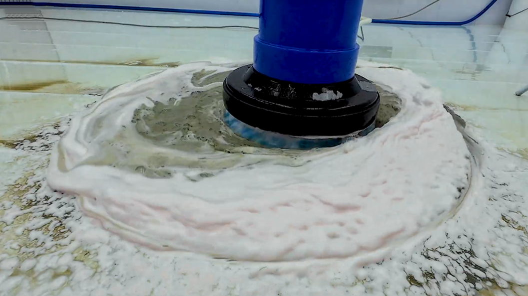 Deep Carpet Cleaning That Brings Colors Back