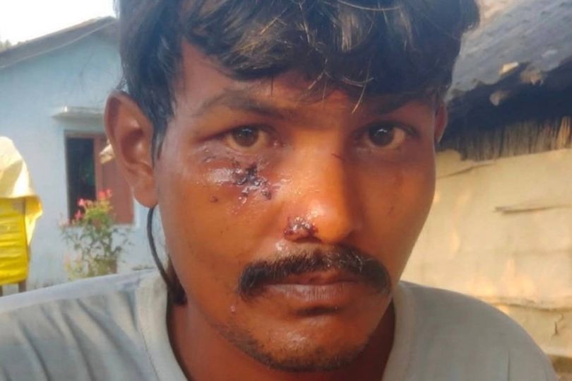 Residents living in fear as 'aggressive' monkey takes down sacred beast